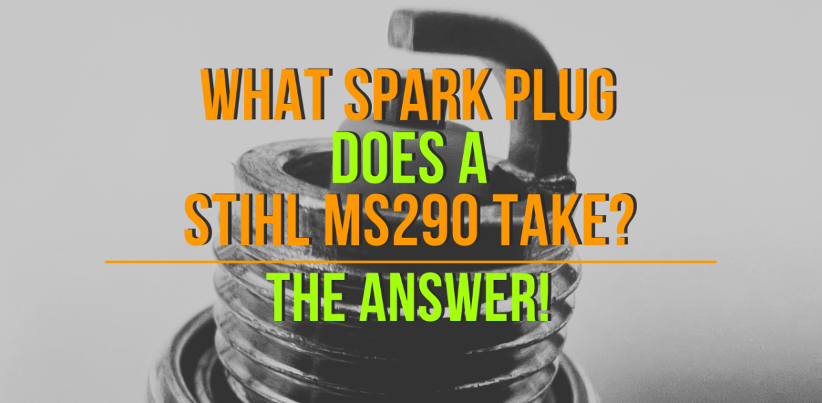 What Spark Plug Does a Stihl MS290 Take? – Chainsaw Ace